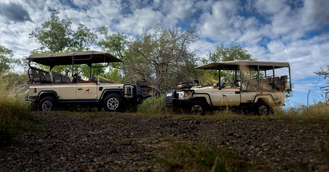 Kruger Park Safari - Safari Reinhardt